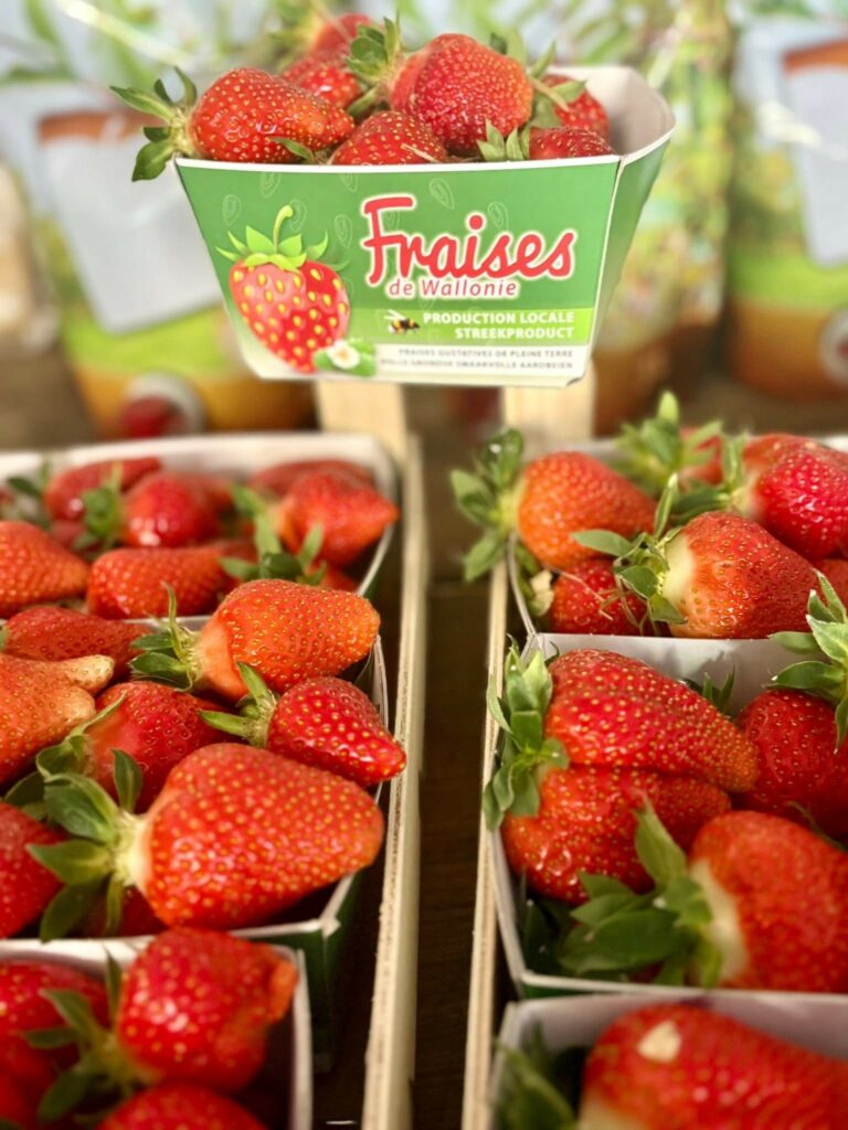 Ouverture de la saison des Fraises de Wallonie 2025 - IFEL-W